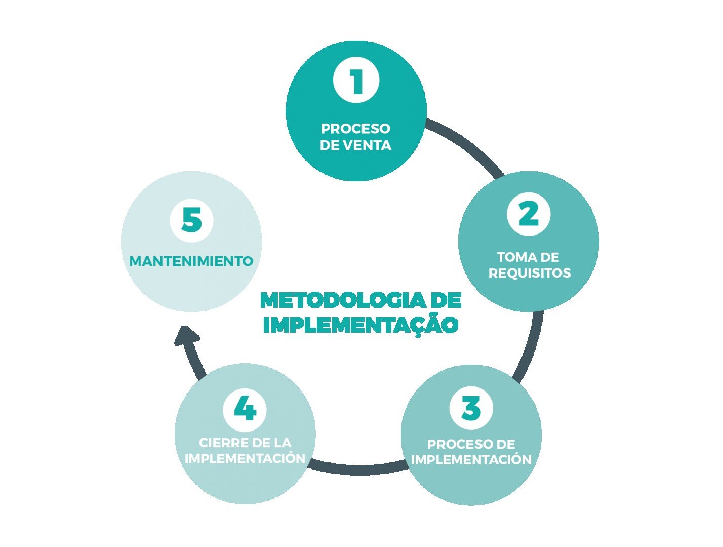Como trabajamos Como trabajamos